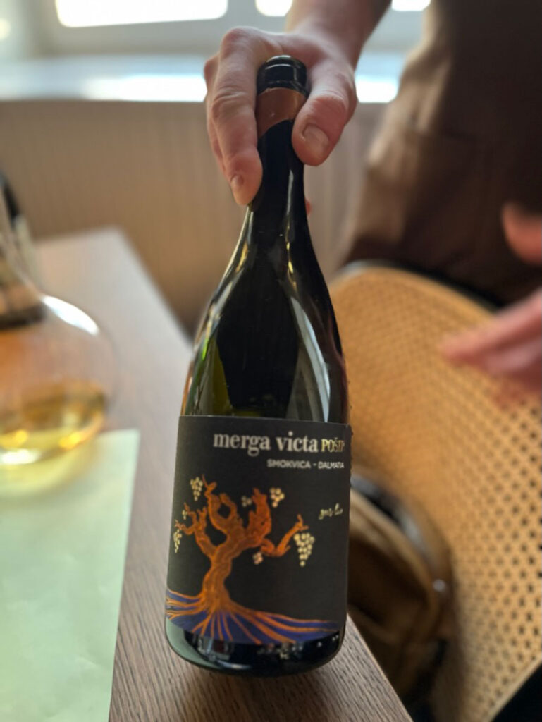 IGOR RADOVANOVIĆ (MERGA VICTA) ZA VINSKI IZVJEŠTAJ 2025. Suština ...