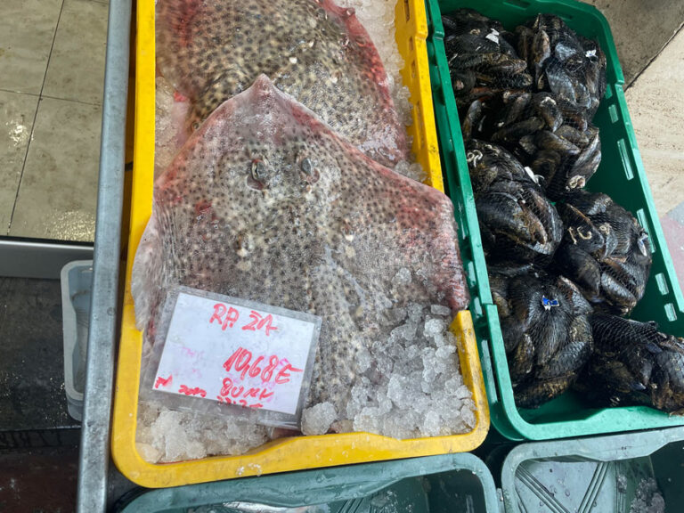 DELIKATESA TJEDNA Raža bi trebala postati omiljena riba u restoranskom ...