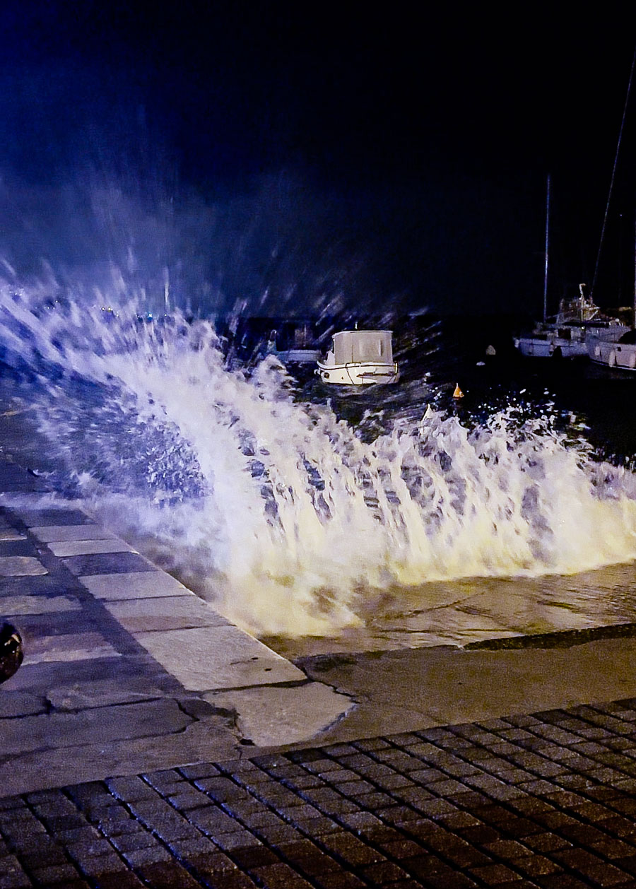 Odlična novogodišnja večera sa škampima, jastogom i tartufima u Plavom ...