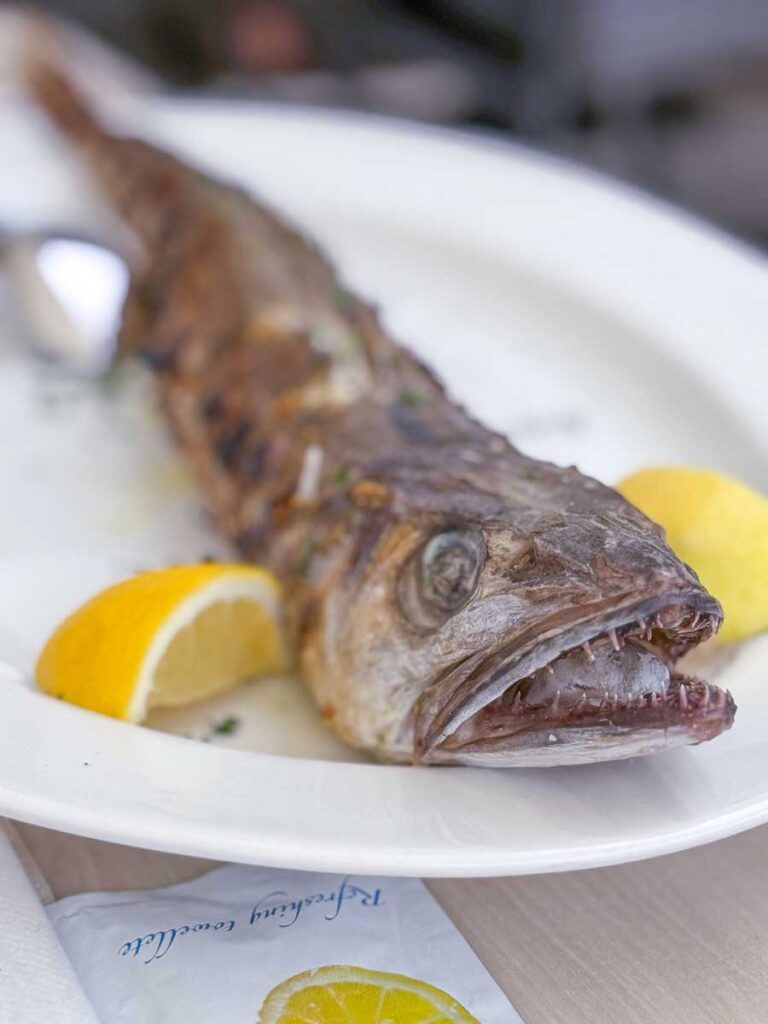 Jarunska Mala riba trebala bi se zvati Velika riba. Jučer je imala ...